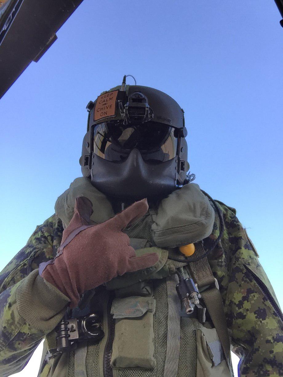 Chive Everywhere (65 HQ Photos)