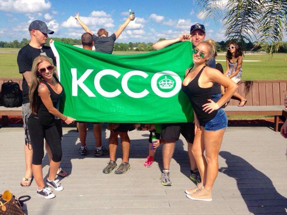Chive Everywhere (65 HQ Photos)
