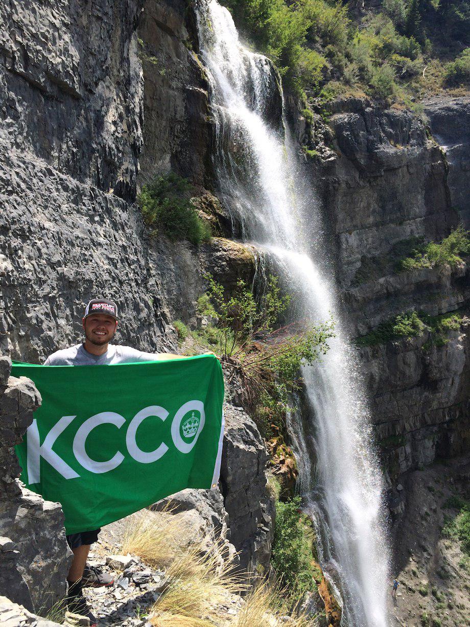 Chive Everywhere (65 HQ Photos)