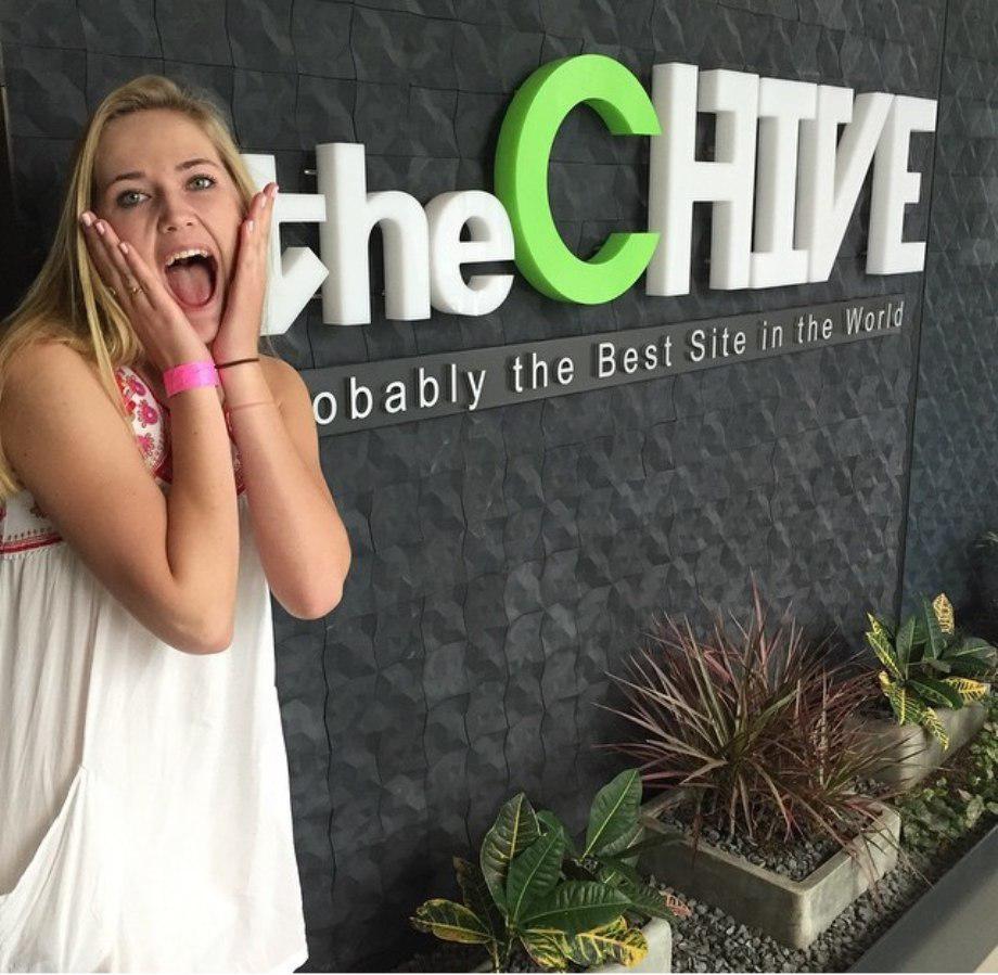 Chive Everywhere (65 HQ Photos)