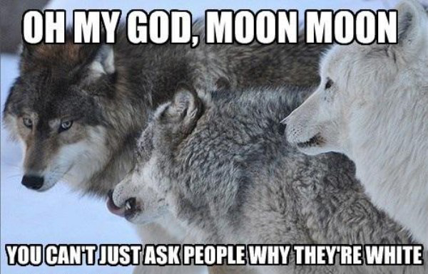 Guy's werewolf name is "Moon Moon" -- internet weighs in (20 Photos)