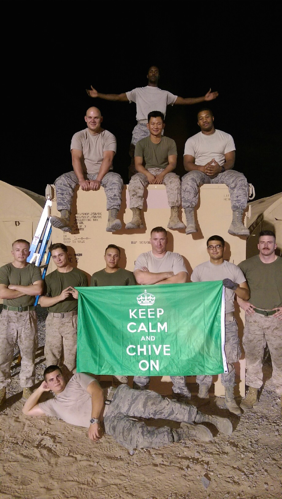 Chive Everywhere (54 Photos)