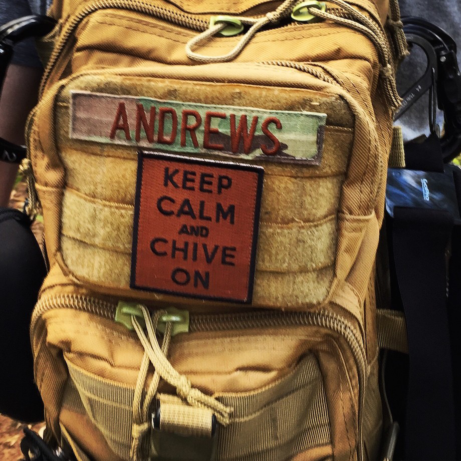 Chive Everywhere (54 Photos)