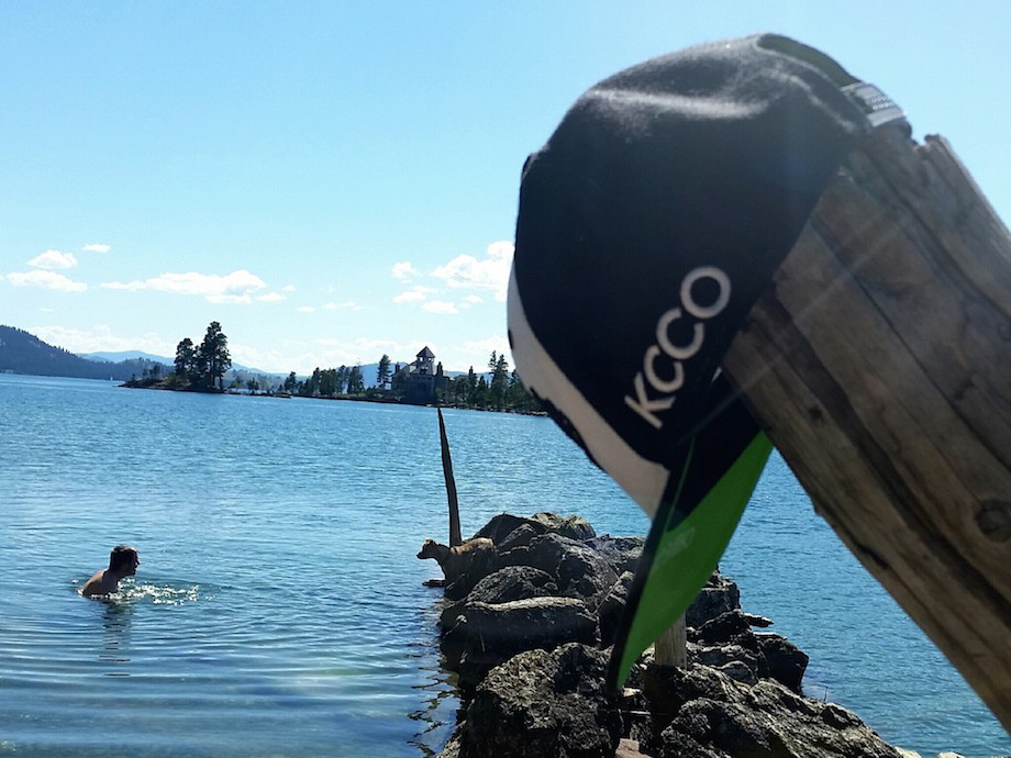 Chive Everywhere (54 Photos)