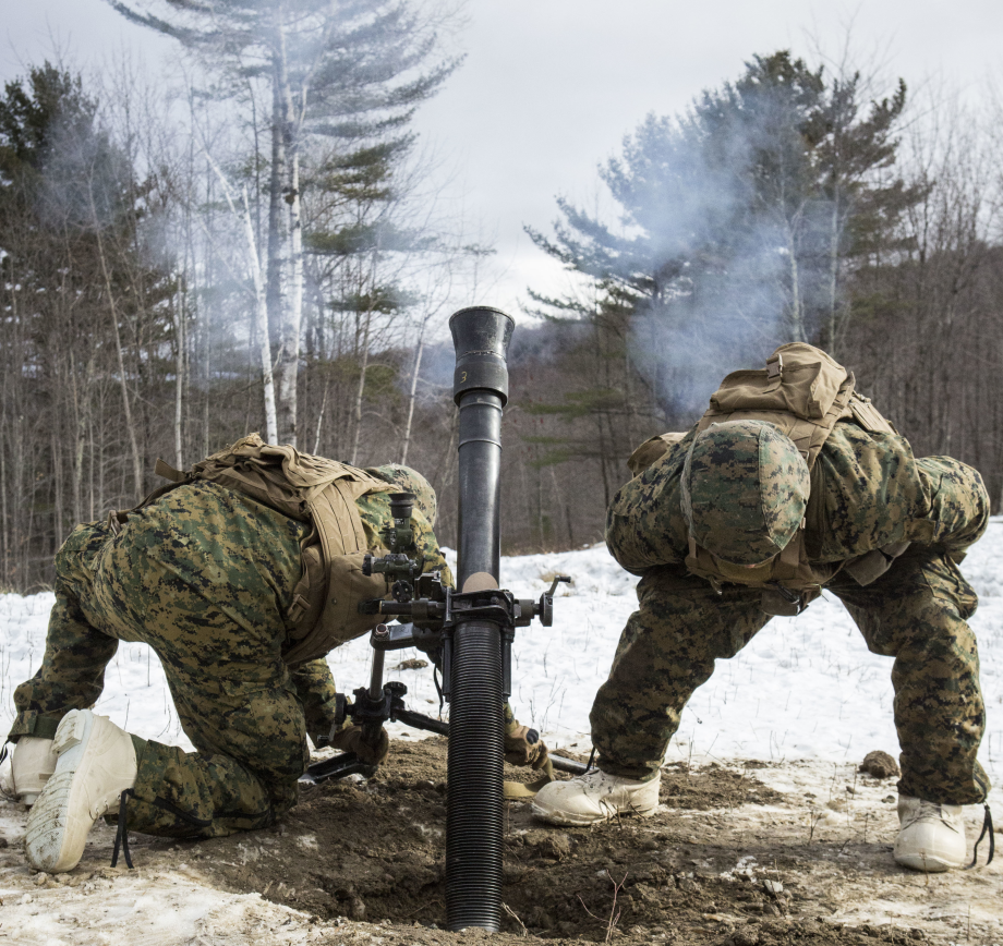 USMC Exercise Nordic Frost (36 HQ photos and video)