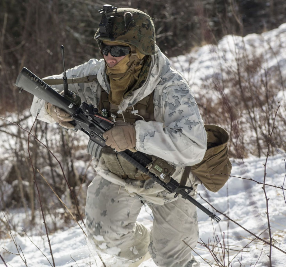 USMC Exercise Nordic Frost (36 HQ photos and video)