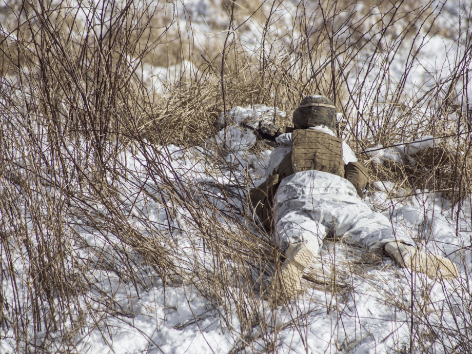 USMC Exercise Nordic Frost (36 HQ photos and video)