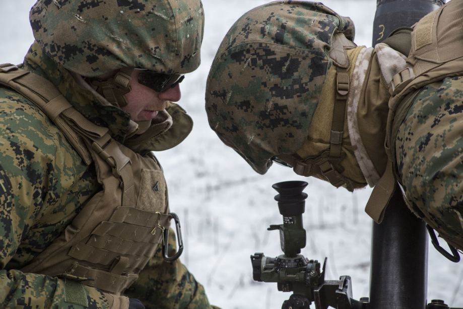 USMC Exercise Nordic Frost (36 HQ photos and video)