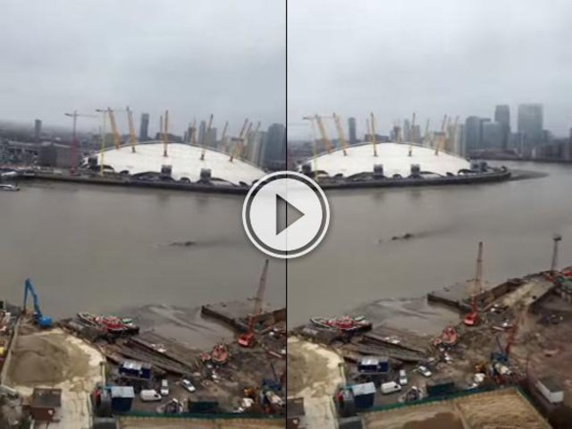 Mysterious Giant Creature/Object In The Thames (Video)