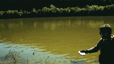 Chemical reaction GIFS are mesmerizingly unstable (9 GIFS)