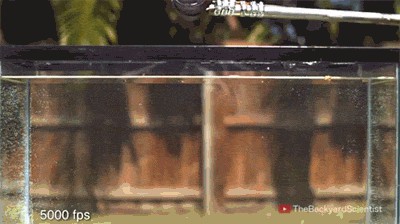 Chemical reaction GIFS are mesmerizingly unstable (9 GIFS)
