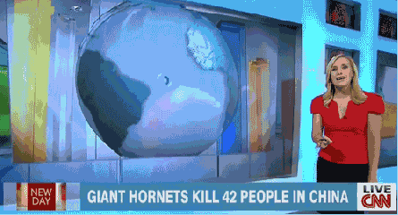 GIFs that illustrate newscasts going horribly wrong