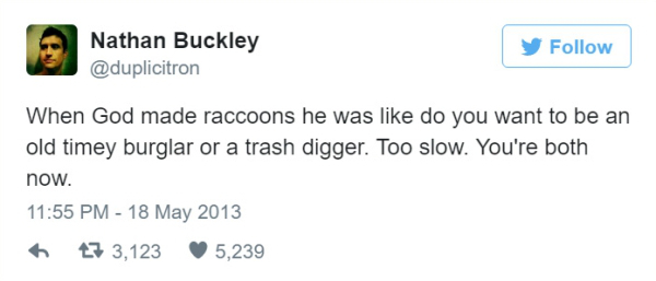 Tweets that perfectly explain how God created specific animals