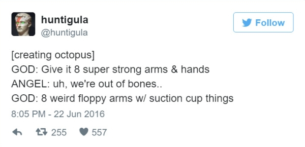 Tweets that perfectly explain how God created specific animals