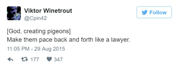 Tweets that perfectly explain how God created specific animals