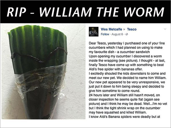 Man discovers dead worm in Tesco cucumber, holds proper funeral