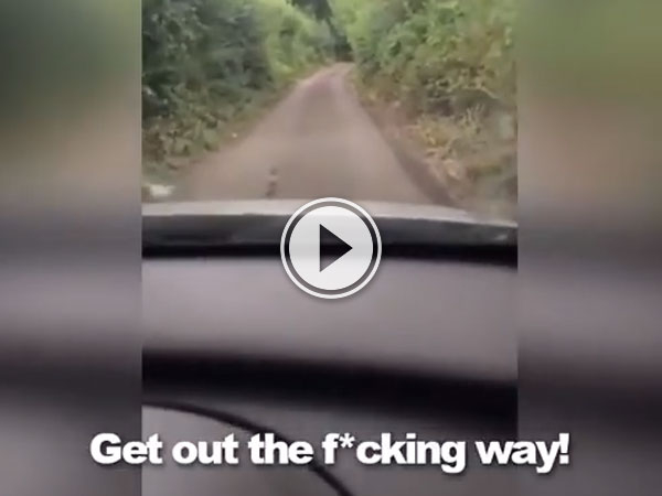 Guy Gets Mugged Off By Hilarious Pigeon (Video)
