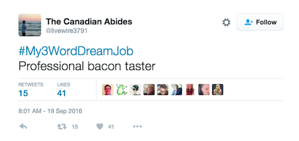 People reveal their dream jobs in 3 words or less and the answers are ...