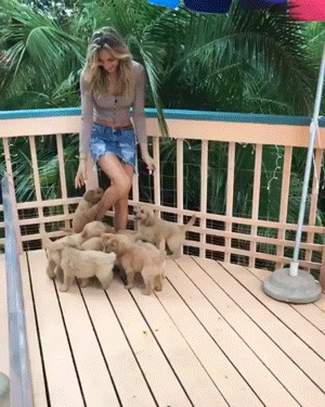 Things Still Bounce on Friday (18 GIFS)