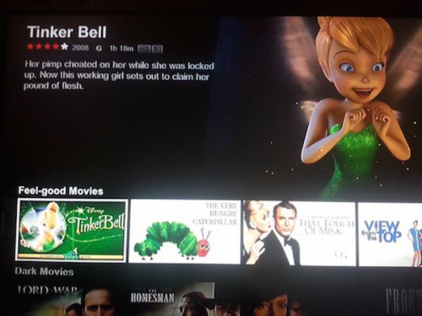 24 Times Netflix descriptions glitched