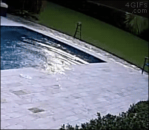 GIFs in reverse are absolutely magical (16 GIFs)