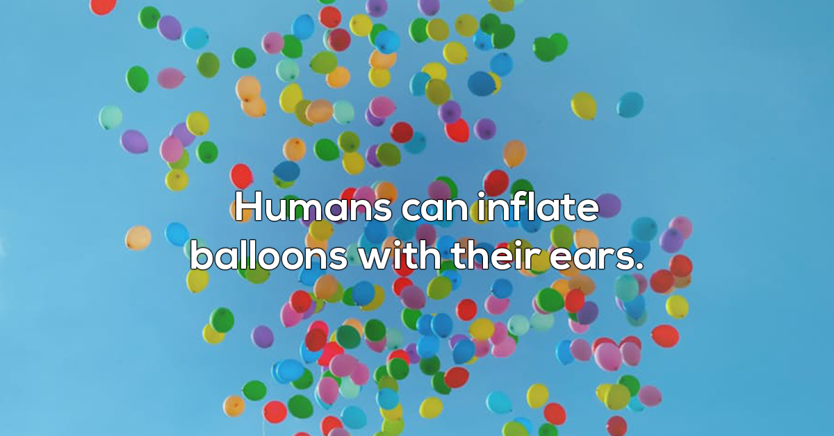 Random and odd facts to add to your plethora of useless knowledge