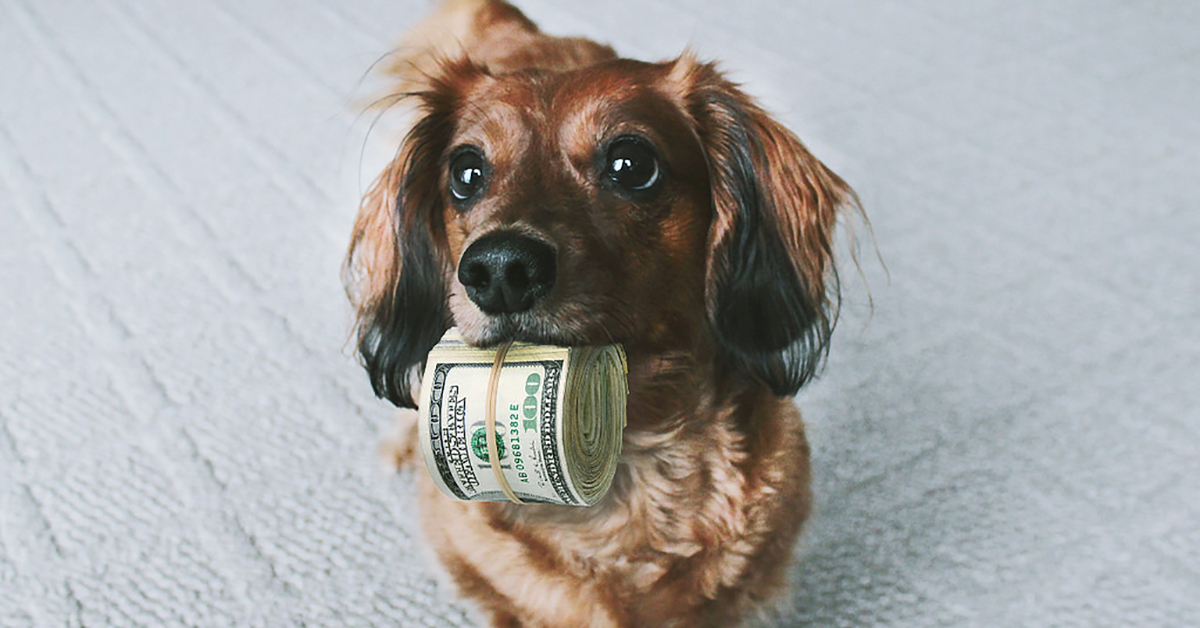 The richest perts in the world