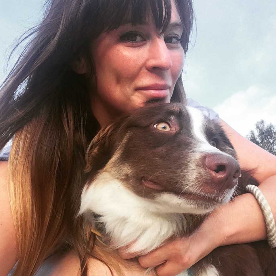 Life is rough get a dog