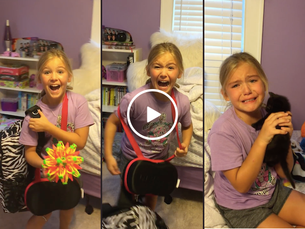 A kitty surprise for this girl will give you some crazy feels (Video)
