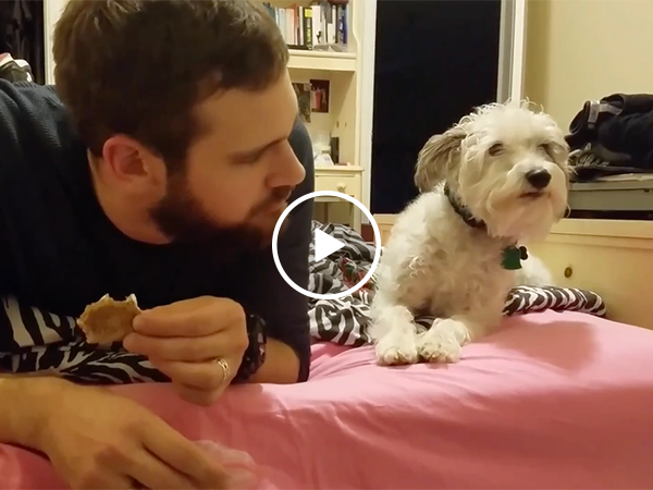 When you get caught eyeballing someone's food