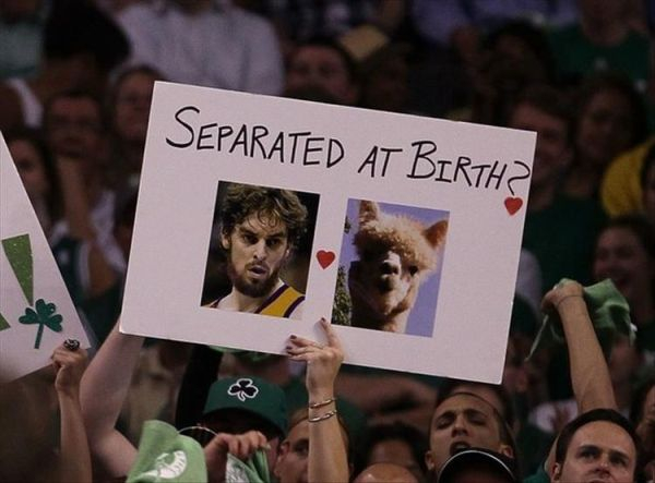 Funniest sports signs spotted at games (20 Photos)