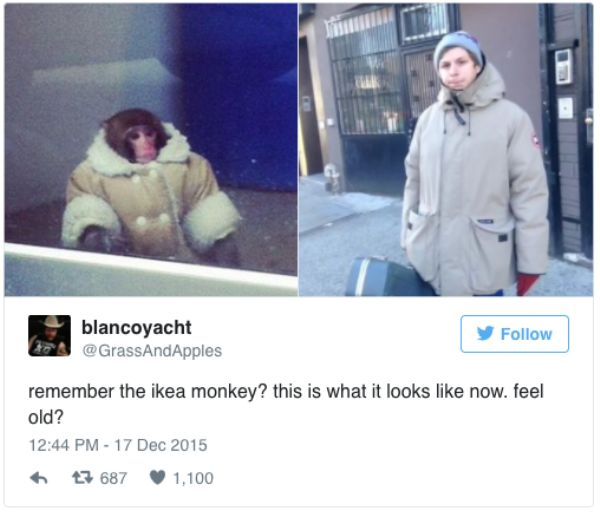 Hilarious Ikea fails prove the frustration is real (20 Photos)