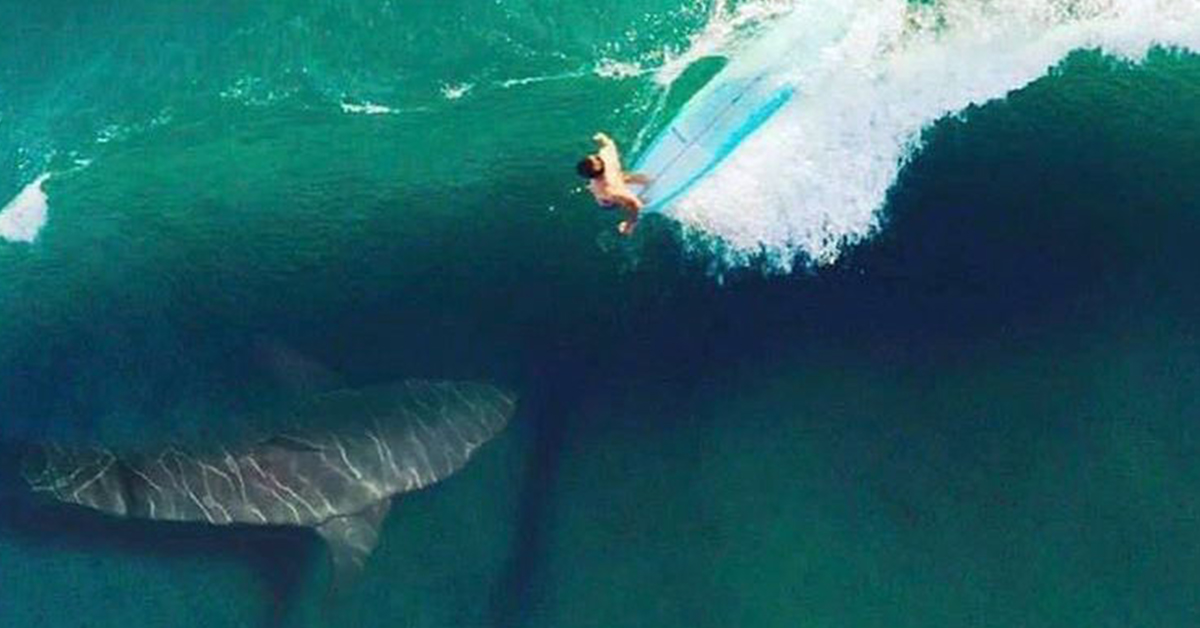 Hot Girls | Sexy Girl Pics | Hot Babes & Chicks - theCHIVE