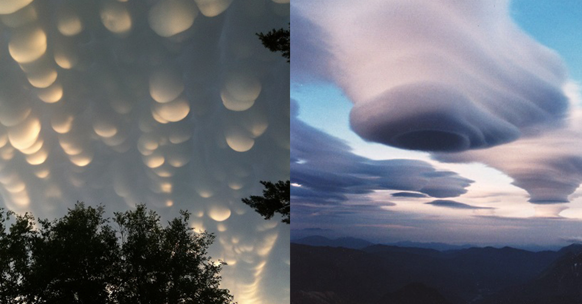 Nature Amazing Events