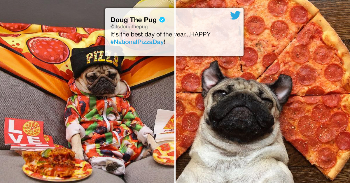 Funny tweets about National Pizza Day