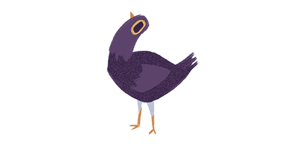 Things you didn't know about Trash Dove, the meme of the month