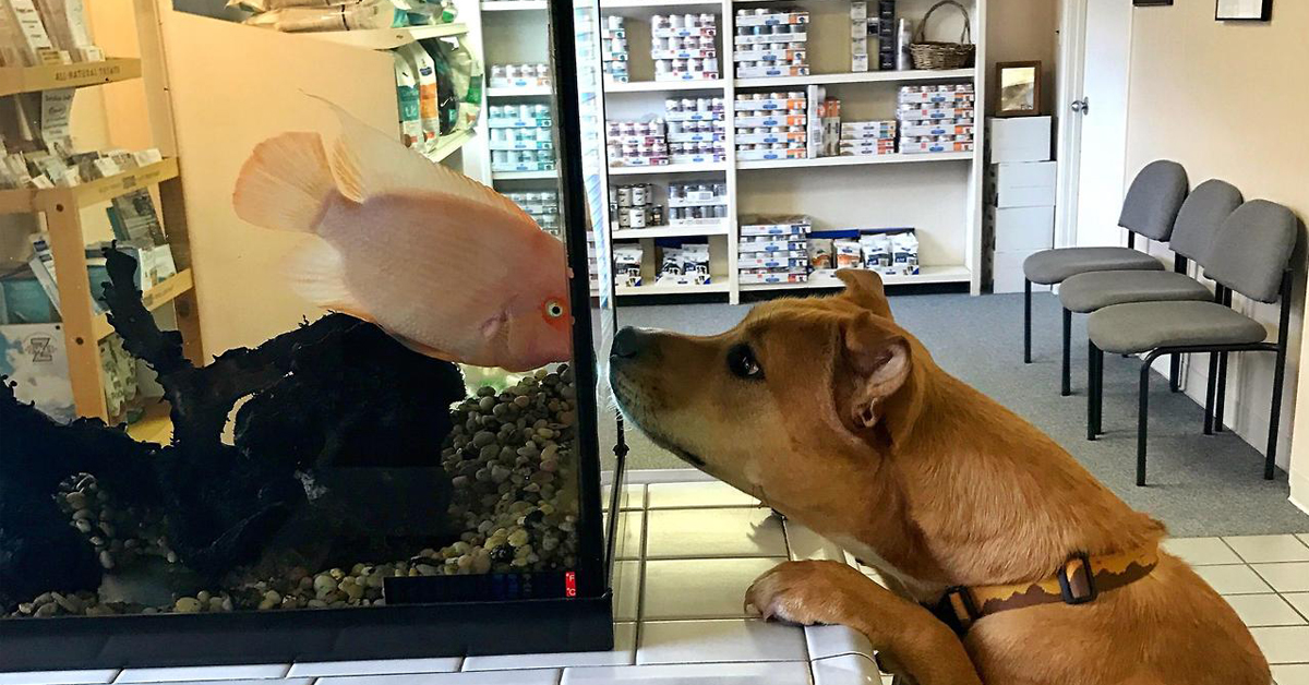 Daily Morning Awesomeness : theCHIVE