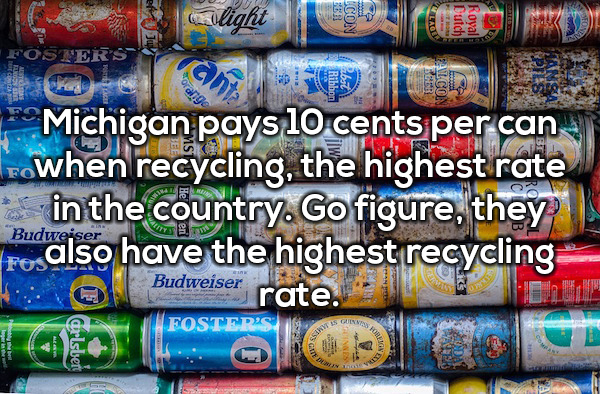 14 Fun Facts about Michigan - The Wolverine State | Michigan Trivia