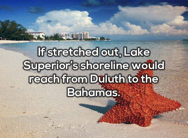 14 Fun Facts about Michigan - The Wolverine State | Michigan Trivia