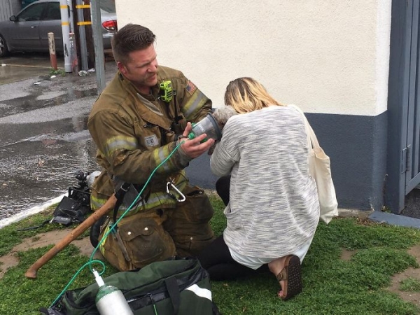 Firefighter pulls dog from burning home, performs CPR to save its life