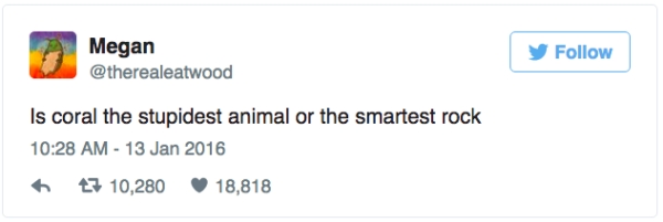 Some Tweets are so perfectly crafted, they deserve praise