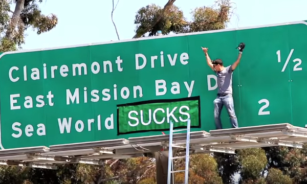 Crash into some dangerous facts about 'Jackass'