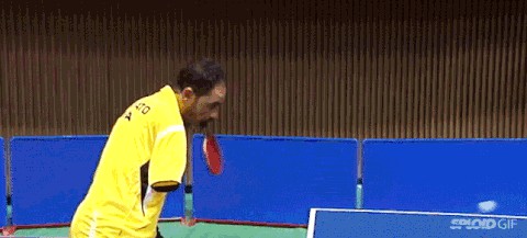 Ping Pong GIFs of Trick Awesome Shots and Funny Fails on theChive.com