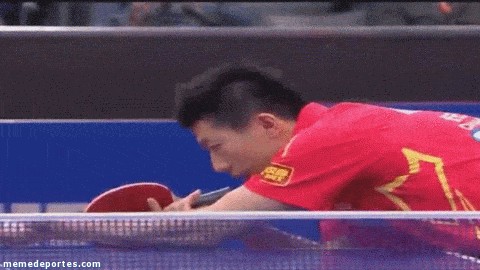 Ping Pong GIFs of Trick Awesome Shots and Funny Fails on theChive.com