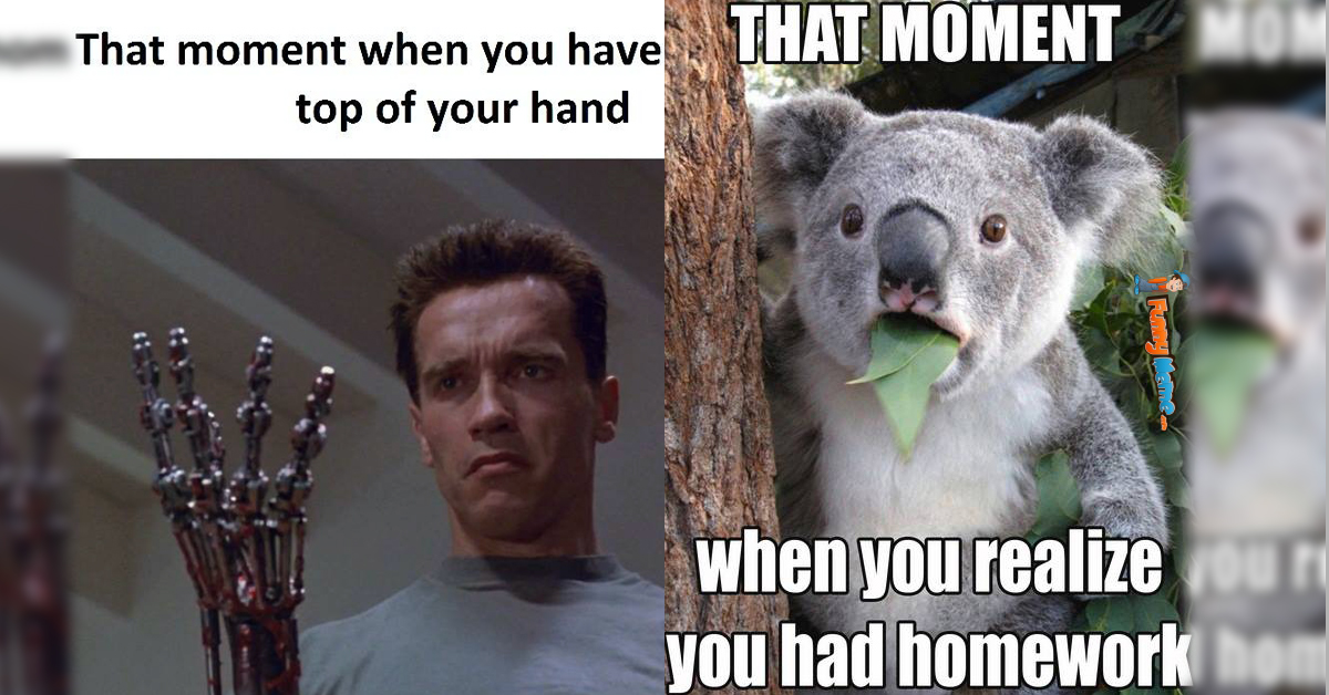 ‘The moment people knew when’ Memes