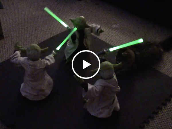 Three animatronic Yoda's take on the deadly Dagobah cat (Video)