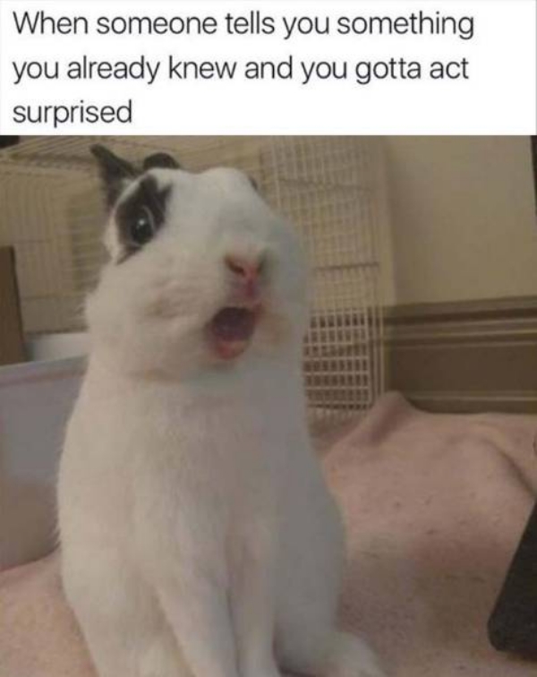 Images & memes that are the absolute truth