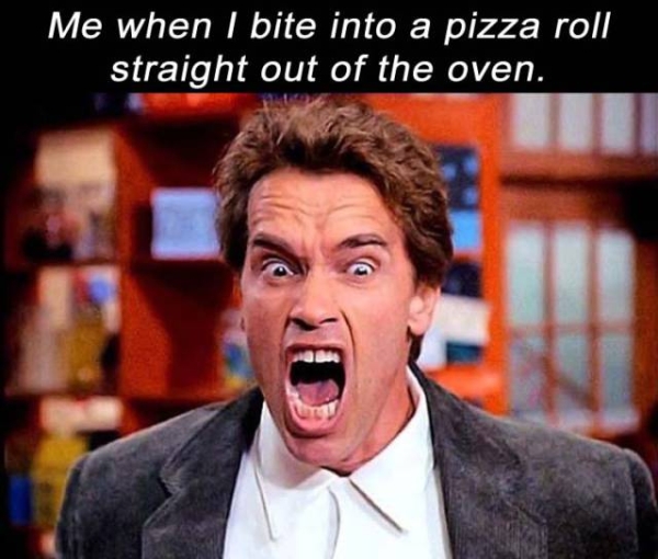 Images & memes that are the absolute truth