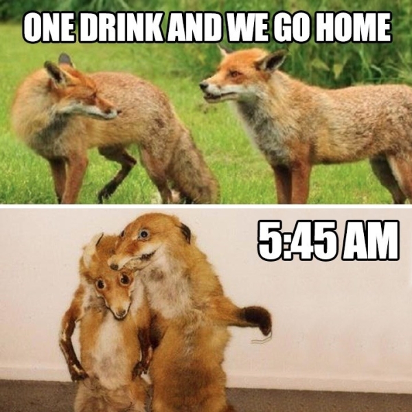 Images & memes that are the absolute truth