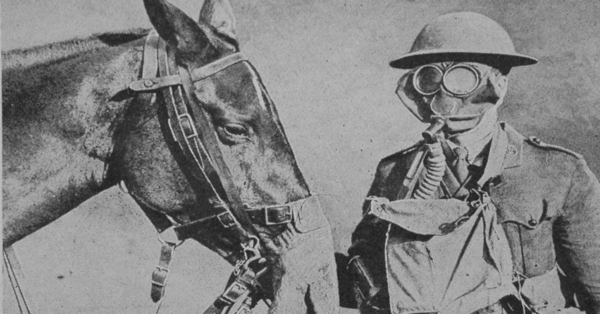 Remarkable instances of animals in war (13 Photos)